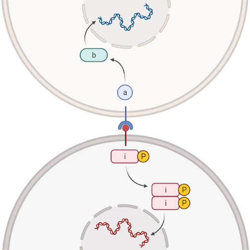 BioRender App