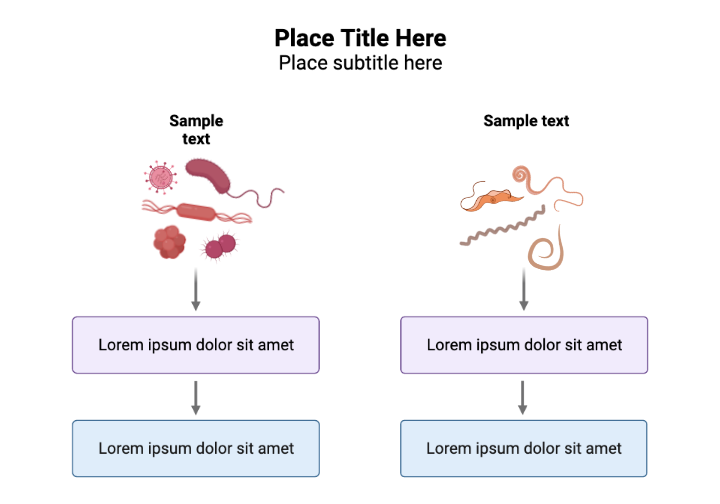 BioRender App