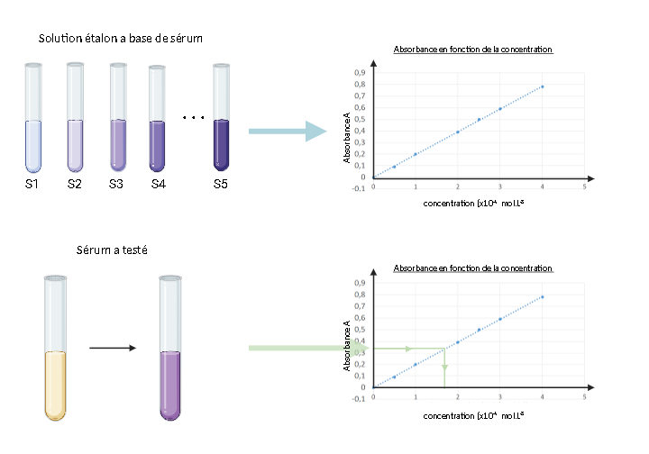 Biorender App