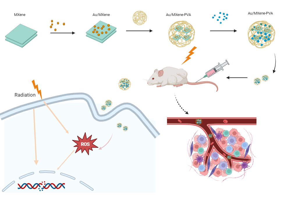 BioRender App