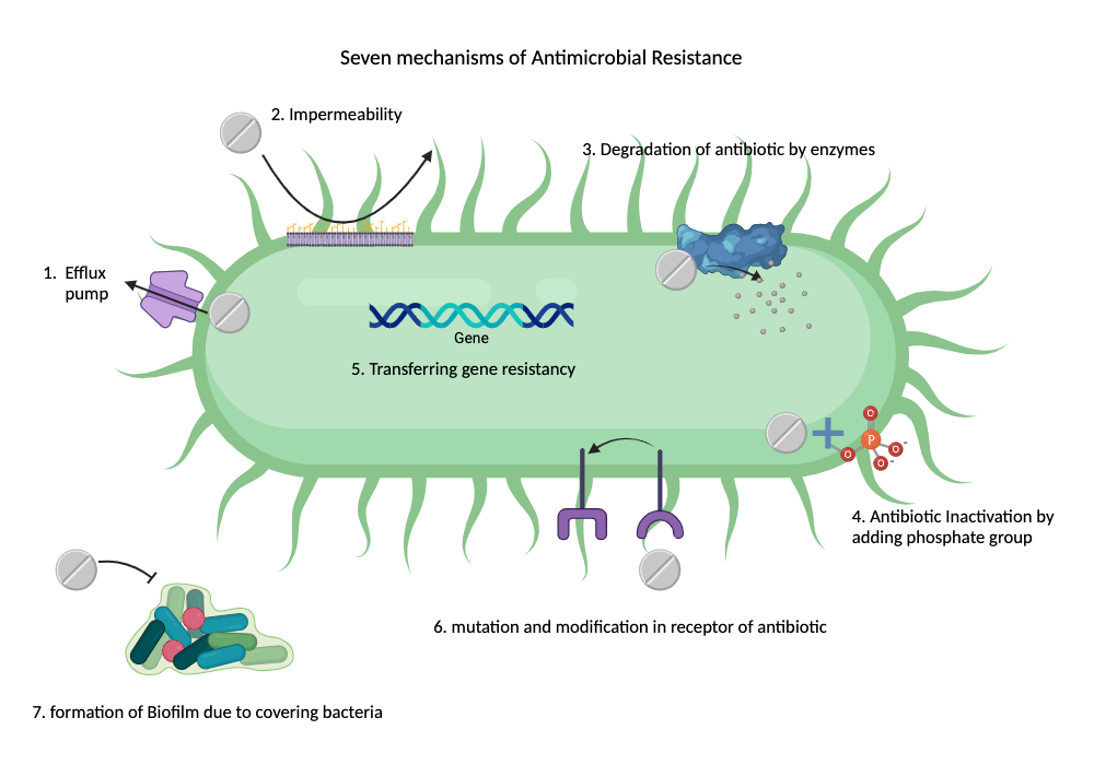BioRender App