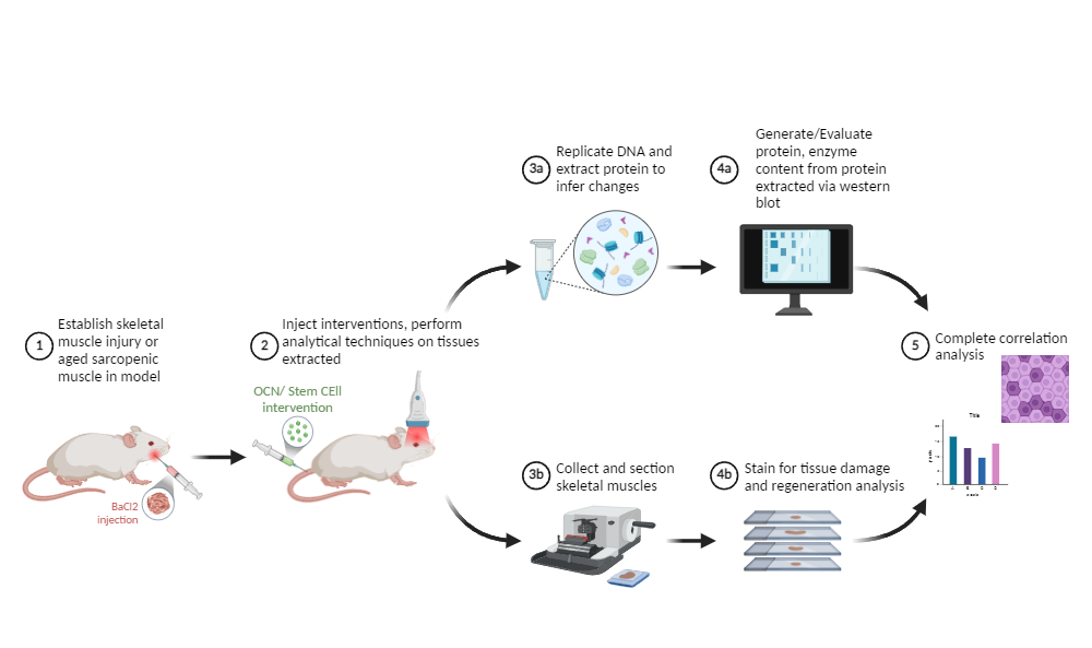 BioRender App