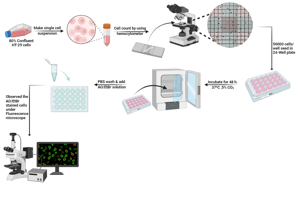 BioRender App