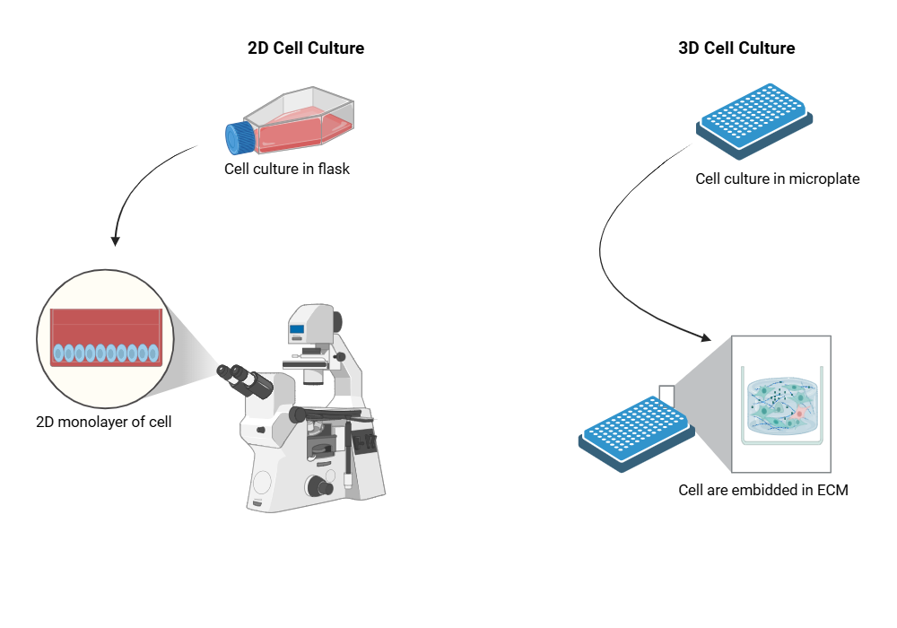 BioRender App